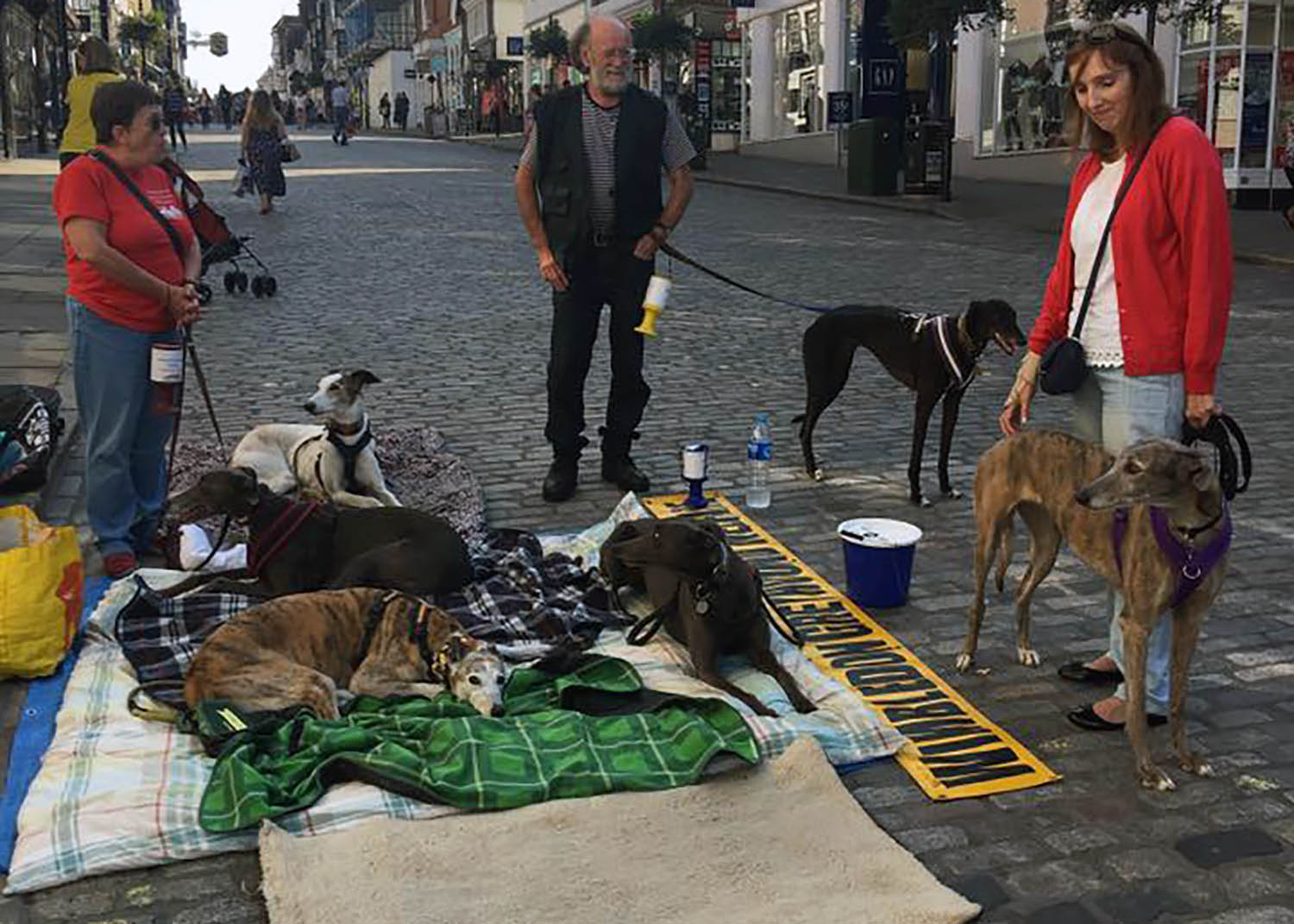 Events – Wimbledon Greyhound Welfare