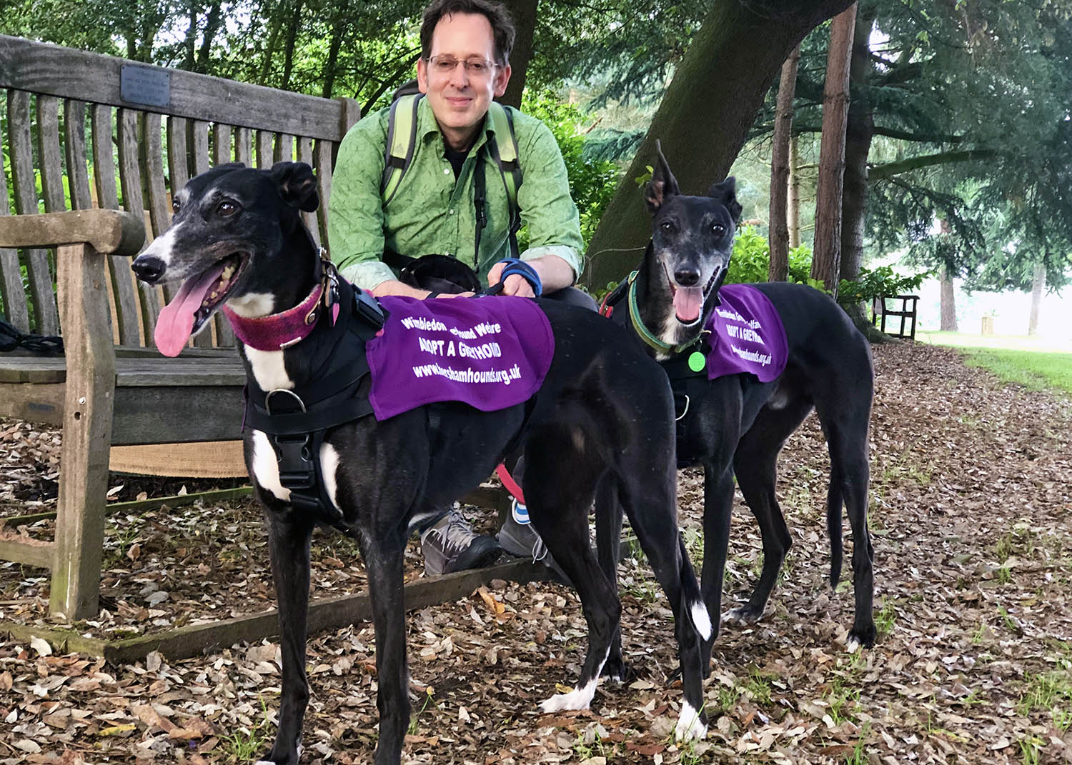 Jill and Joey at Painshill Park – Wimbledon Greyhound Welfare