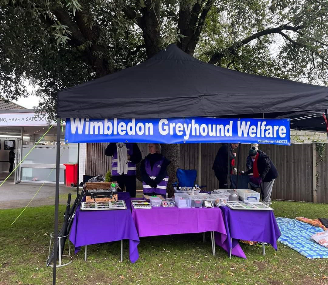 Monday 5th May – Kempton Park Community Race Day – Wimbledon Greyhound ...