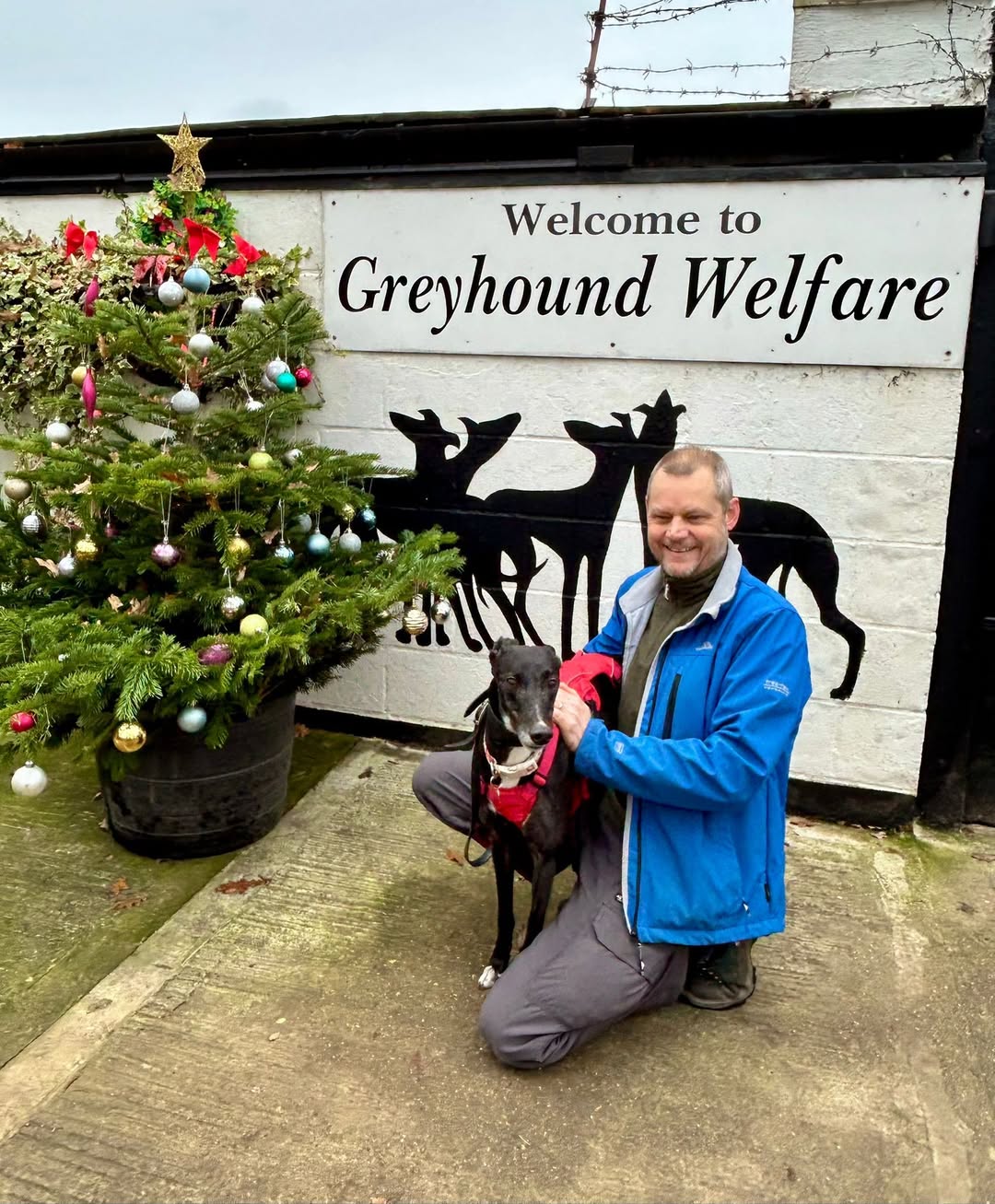 Wimbledon Greyhound Welfare – Because there is life after the track